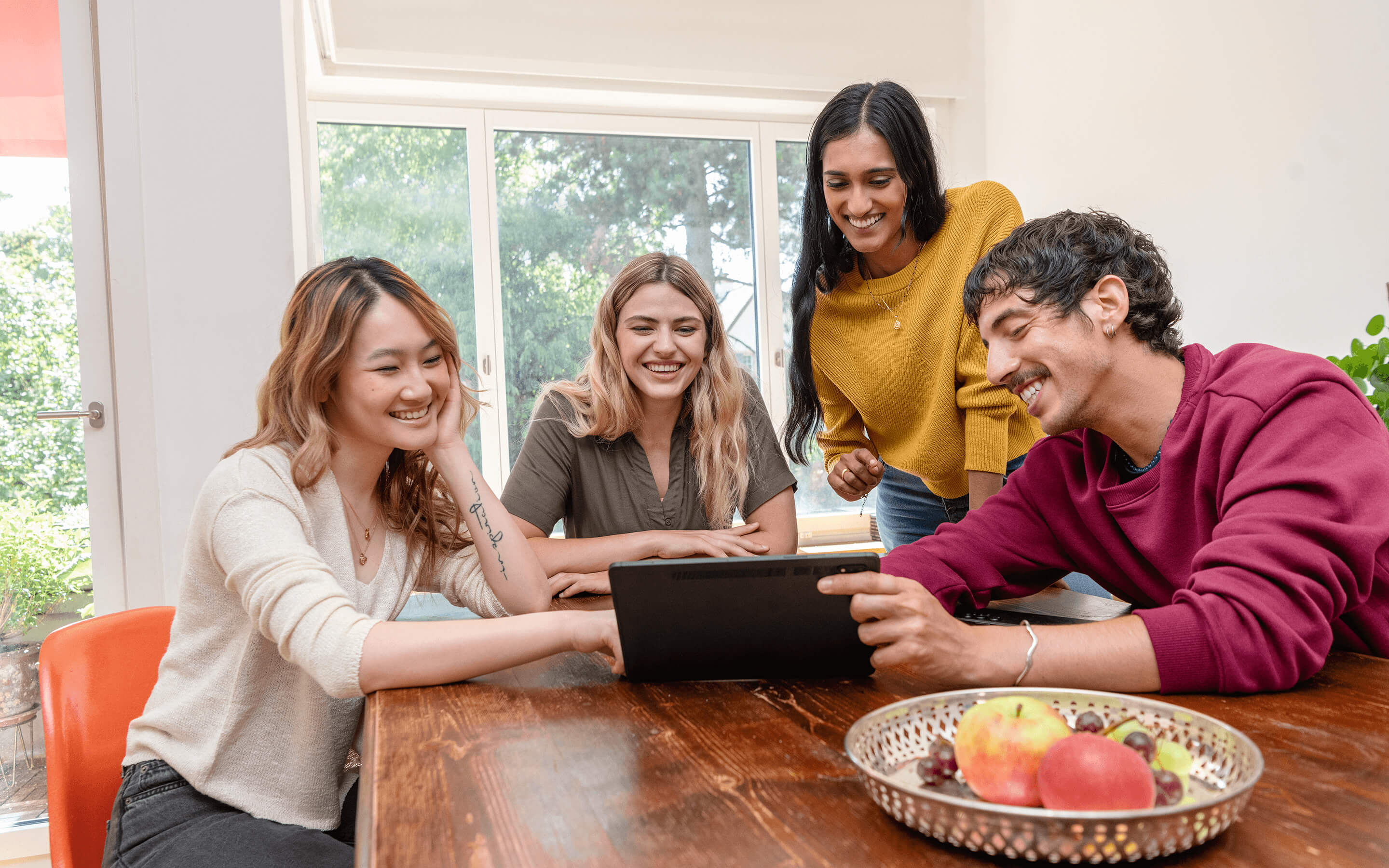 Wingo Internet Box & Router im Überblick | Wingo