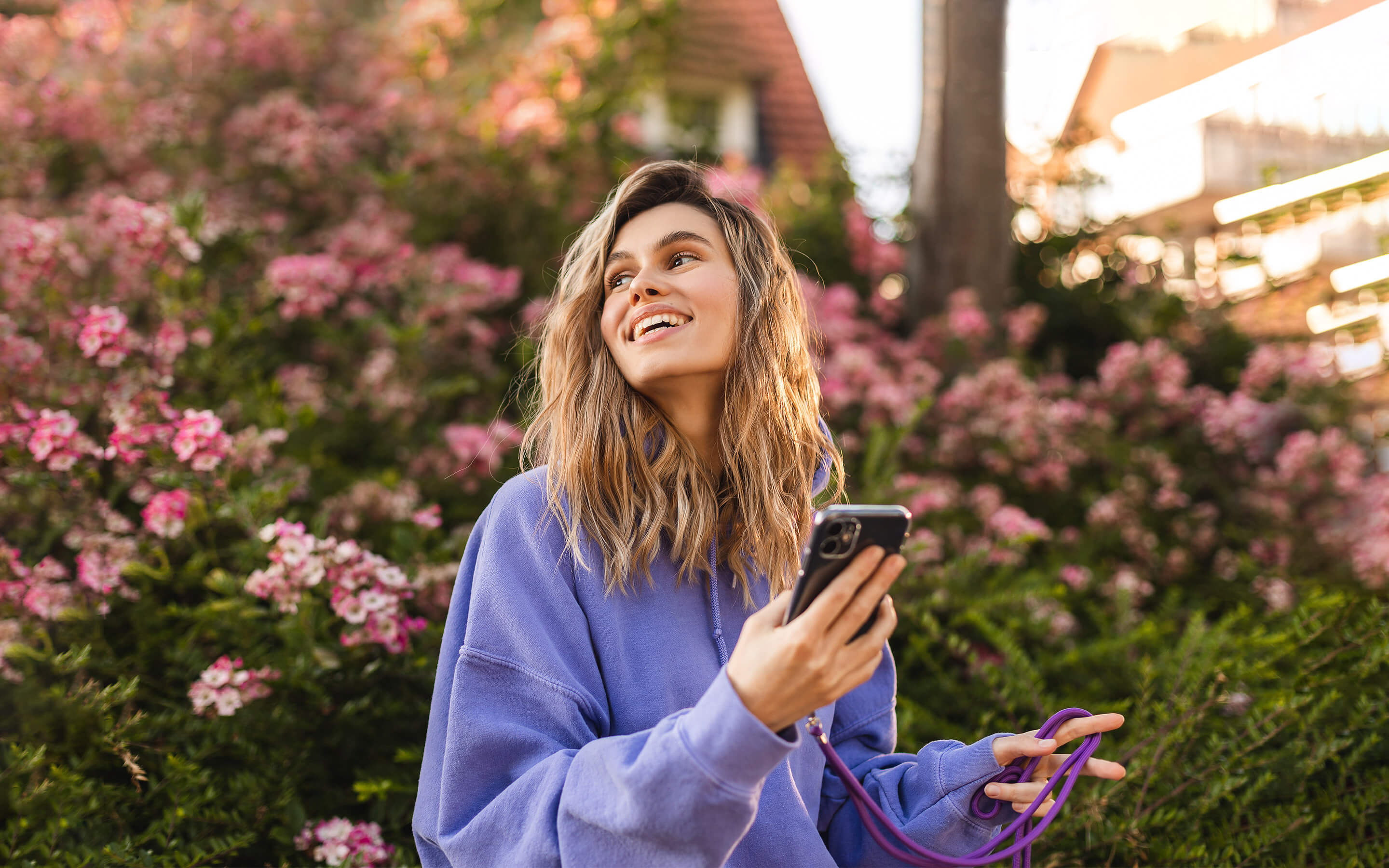 Wingo Europe Pro | Wingo